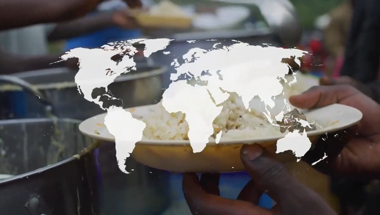 ¿POR QUÉ ESTAMOS EN PELIGRO DE QUEDARNOS SIN COMIDA? – AYL.TV