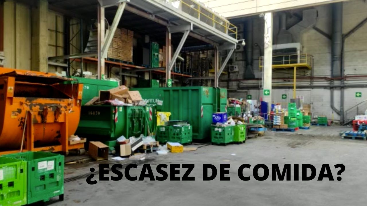 ¿ESCASEZ DE COMIDA? – AYL.TV