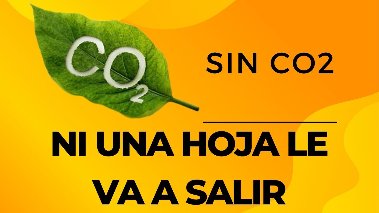 María Teresa Esteban: “NI UNA HOJA LE VA A SALIR” – AYL.TV