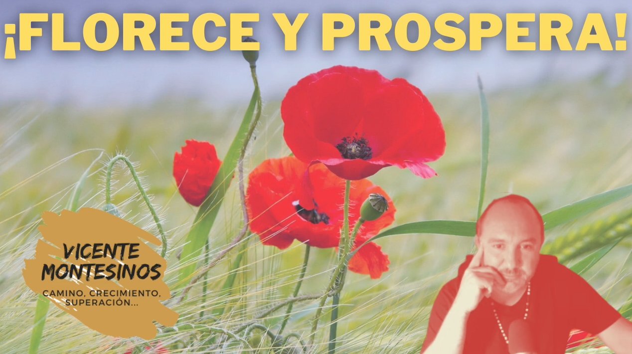 FLORECE Y PROSPERA! DE COMO ESCAPAR DE LOS MEDIOCRES Y SEGUIR ADELANTE ...
