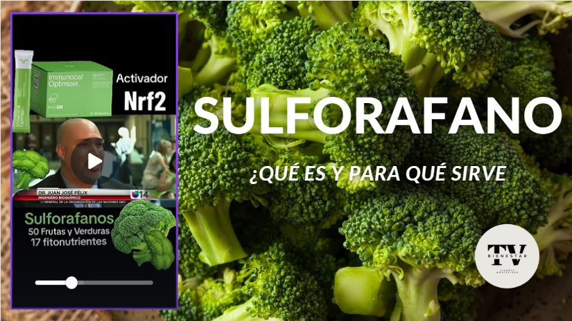 SULFORAFANO ¿Qué es y para qué sirve? – AYL.TV