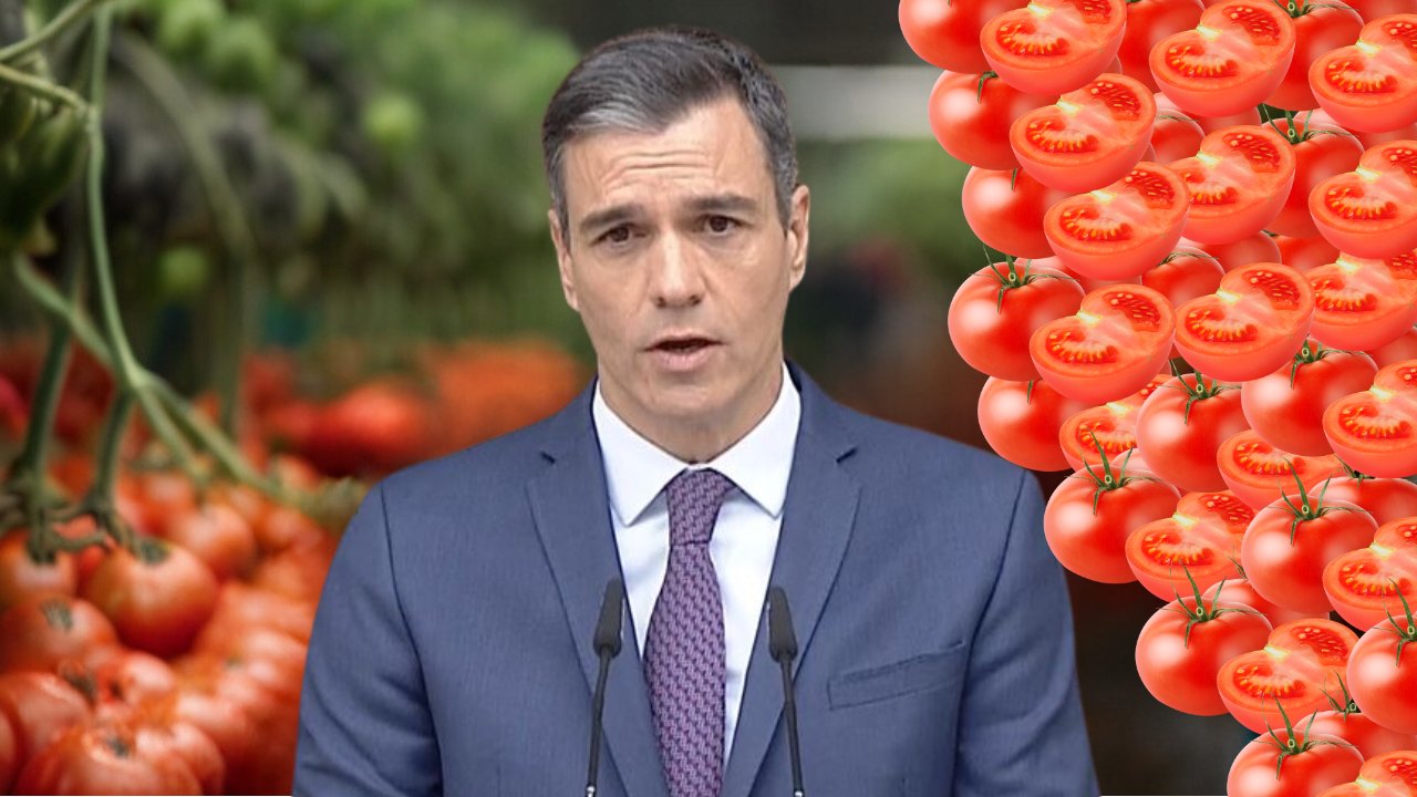 ¡IMBATIBLE! – AYL.TV