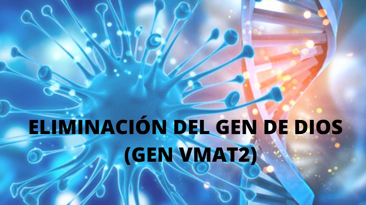 ELIMINACIÓN DEL GEN DE DIOS (GEN VMAT2) – AYL.TV