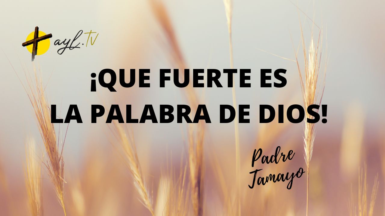 ¡QUE FUERTE ES LA PALABRA DE DIOS! Por Padre Tamayo – AYL.TV